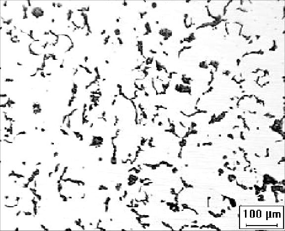 Microstructural analysis of cast-iron specimens
